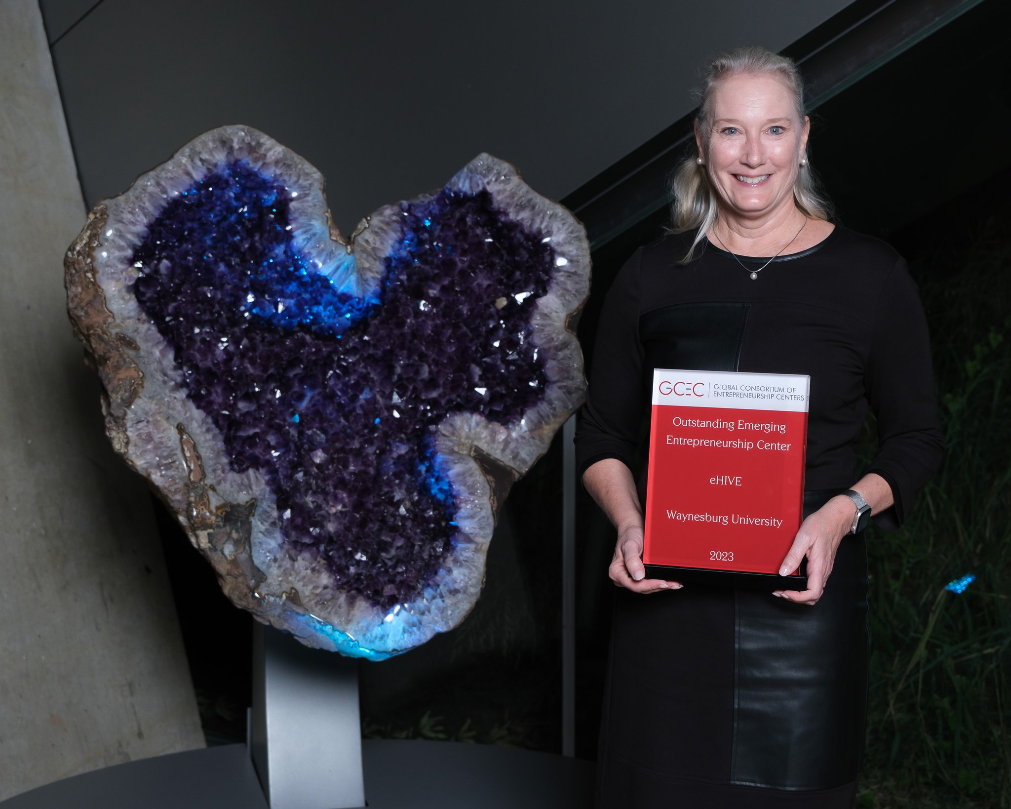 Waynesburg University | University’s eHIVE wins international award